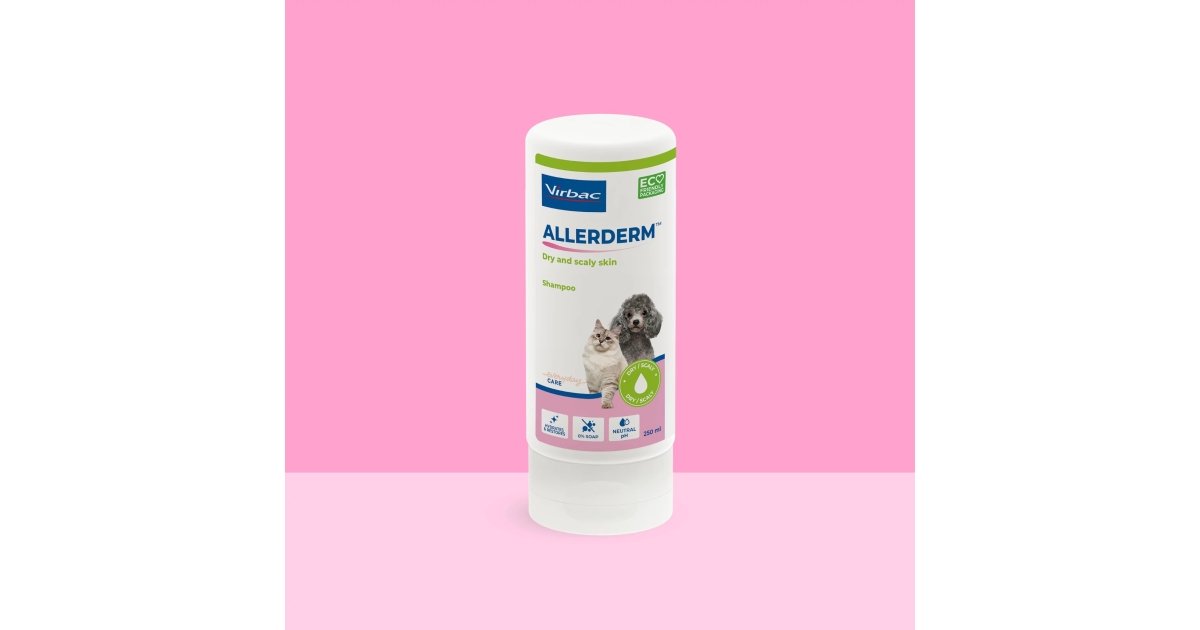 Allerderm Shampoo per Pelle secca e squamosa - per Cani e Gatti ...